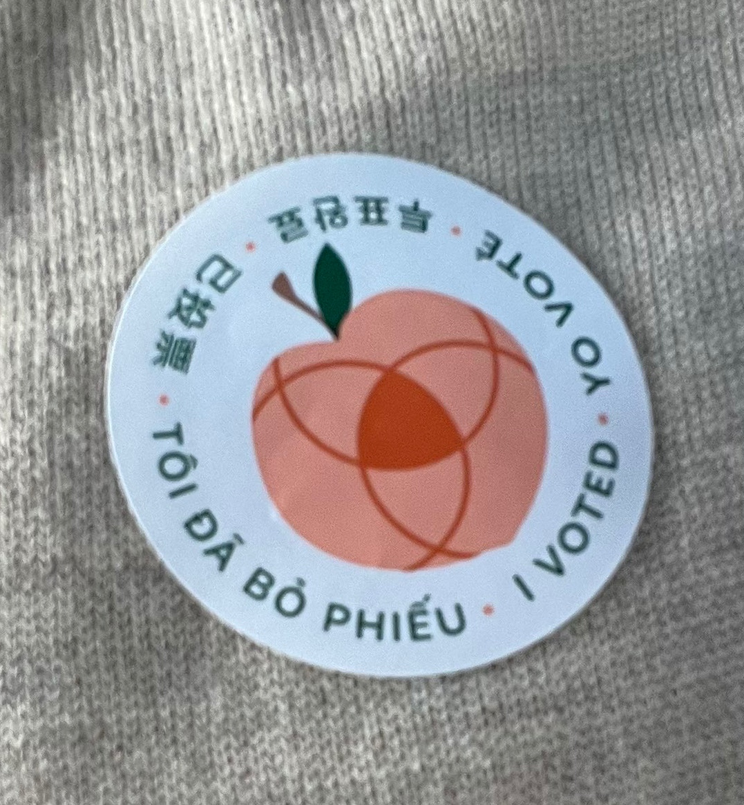 "I voted" stickers in Gwinnett County Georgia, USA - Immigration ...